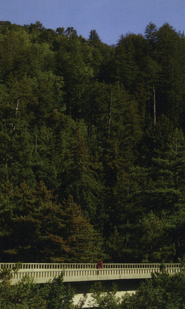 Kith for Nike TD Air Max 95 - EL Dorado / Sail / Dark Beetroot / Rush ...